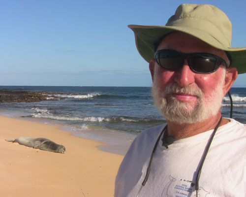 Video: The Monk Seal Man